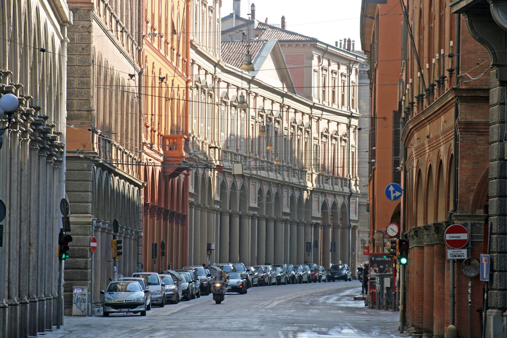 Miola - Origine di Bologna